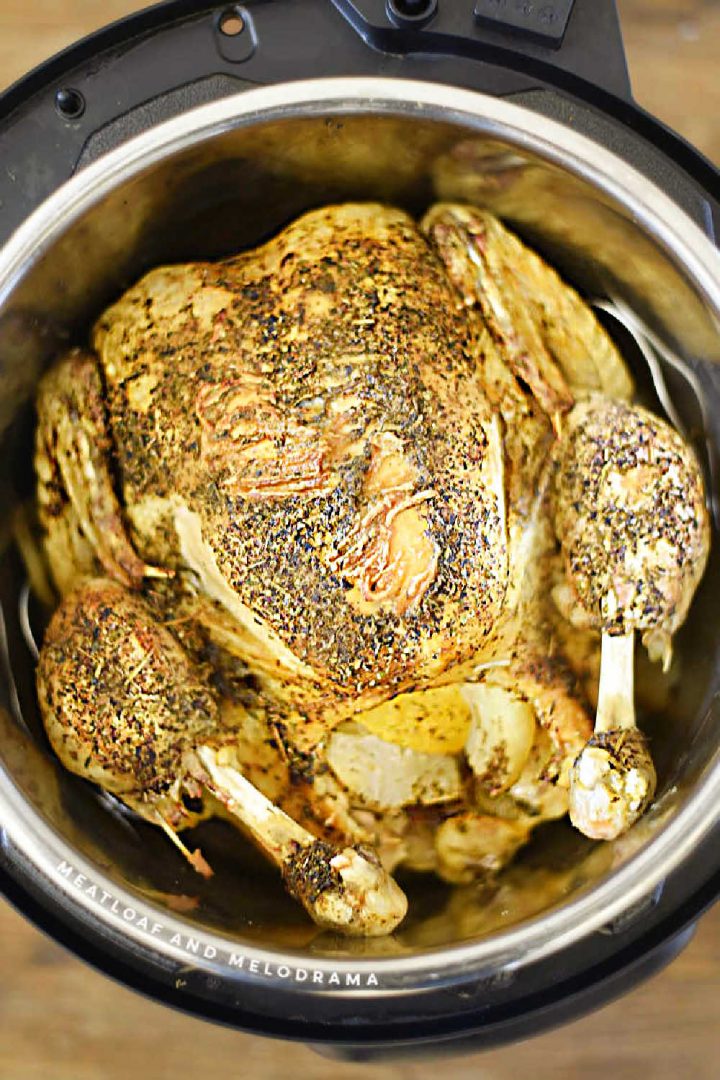 Instant Pot Whole Roast Chicken Recipe - Meatloaf and Melodrama