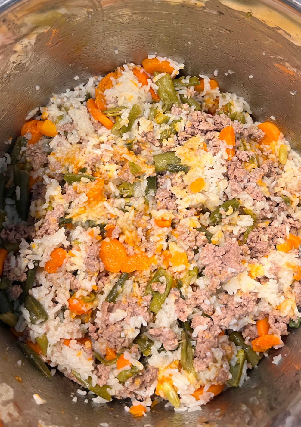 Homemade Instant Pot Dog Food - Meatloaf and Melodrama